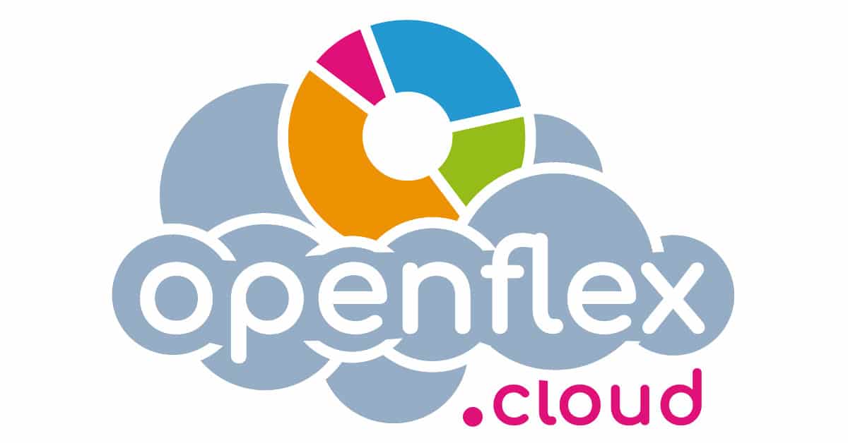 Openflex Madagascar, l'ESN n°1 à Madagascar